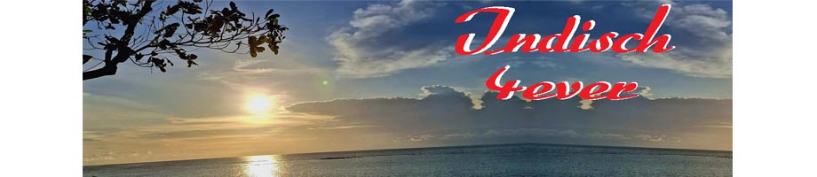 𝕴𝖓𝖉𝖎𝖘𝖈𝖍4𝖊𝖛𝖊𝖗